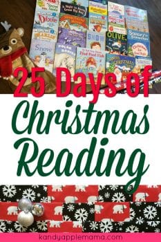 Unique Advent Calendar: 25 Days of Christmas Reading