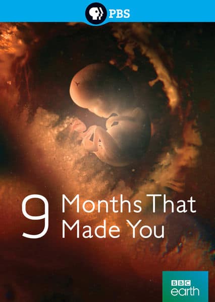 The Top 20 Pregnancy Movies for When You Have Babies on the Brain