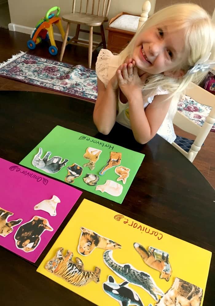Learn to Classify Animals: Herbivore, Carnivore, or Omnivore?