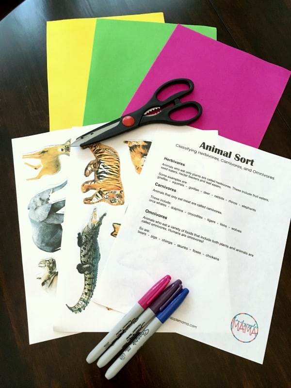 Learn to Classify Animals: Herbivore, Carnivore, or Omnivore?