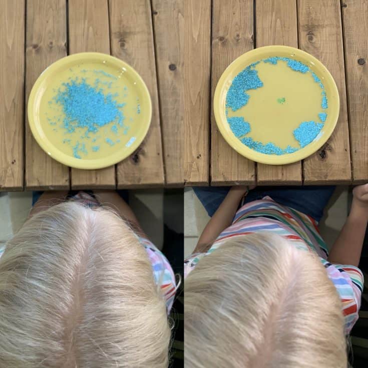 Germs and Viruses Science Lesson Plan – Stepmomming.com: resources and ...