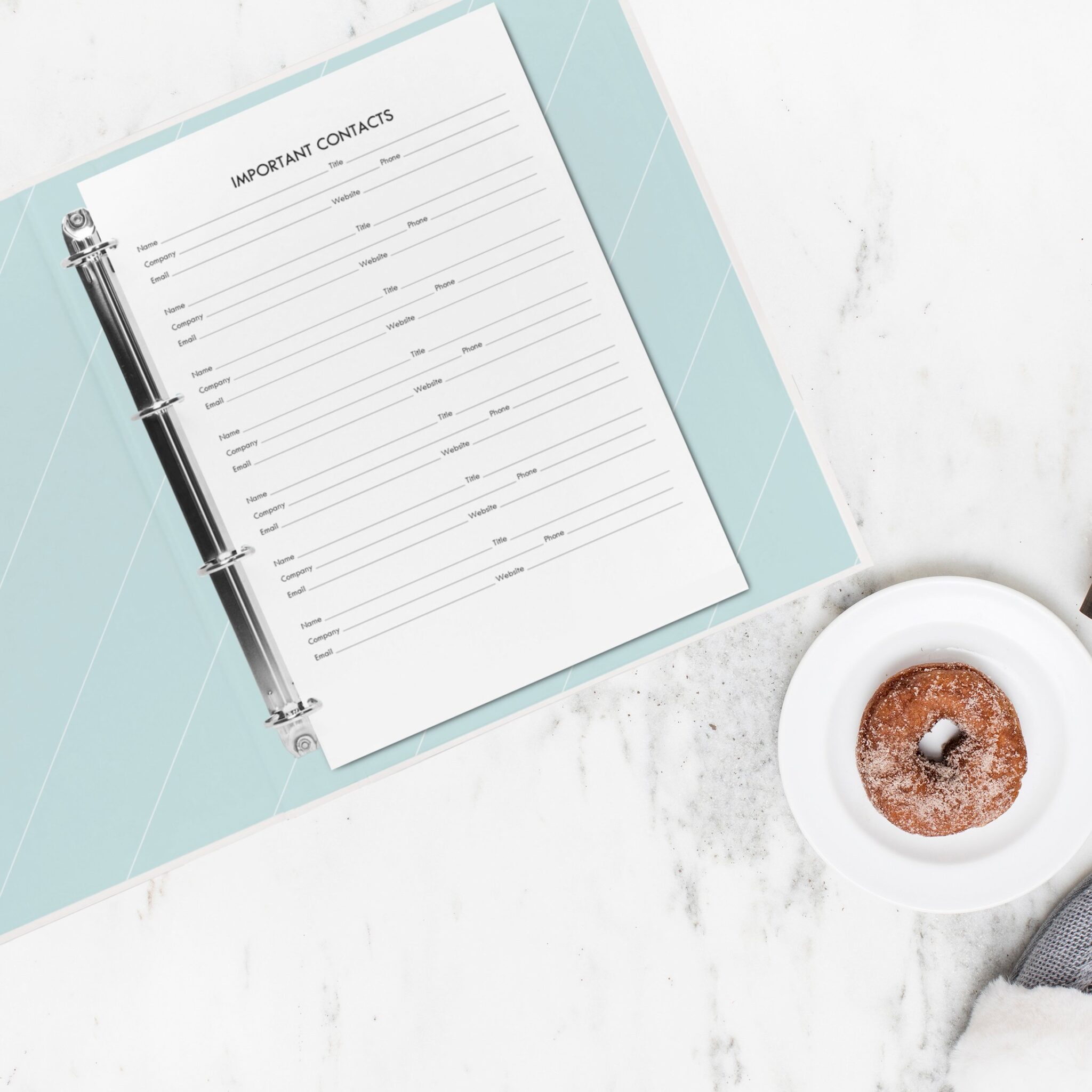 Child Custody Court Binder – Stepmomming.com: resources and coaching ...